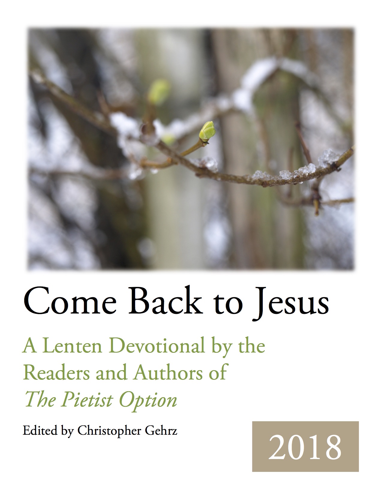 Come Back to Jesus: A Lenten Devotional by the Readers and Authors of ...